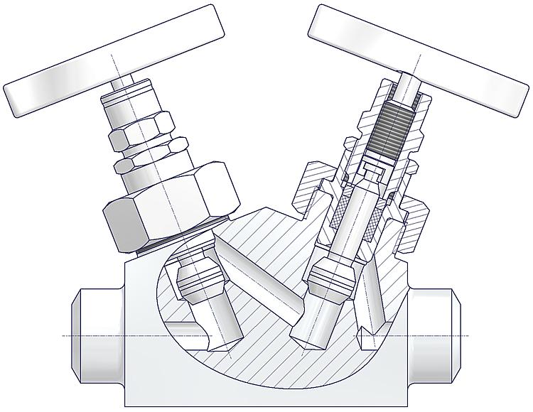 AS-Schneider - Union Bonnet Tandem Valves Type B1