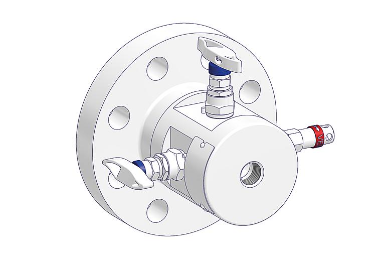 AS-Schneider - Monoflange Options