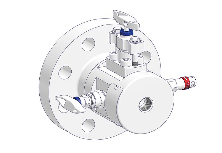AS-Schneider - Monoflange Options