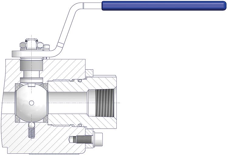 AS-Schneider - Standard Valve Designs